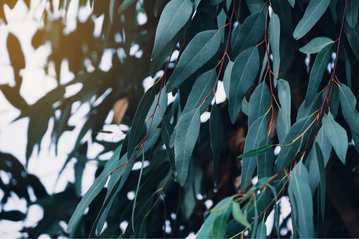 Clinic Policies | About | Aspen Aesthetics